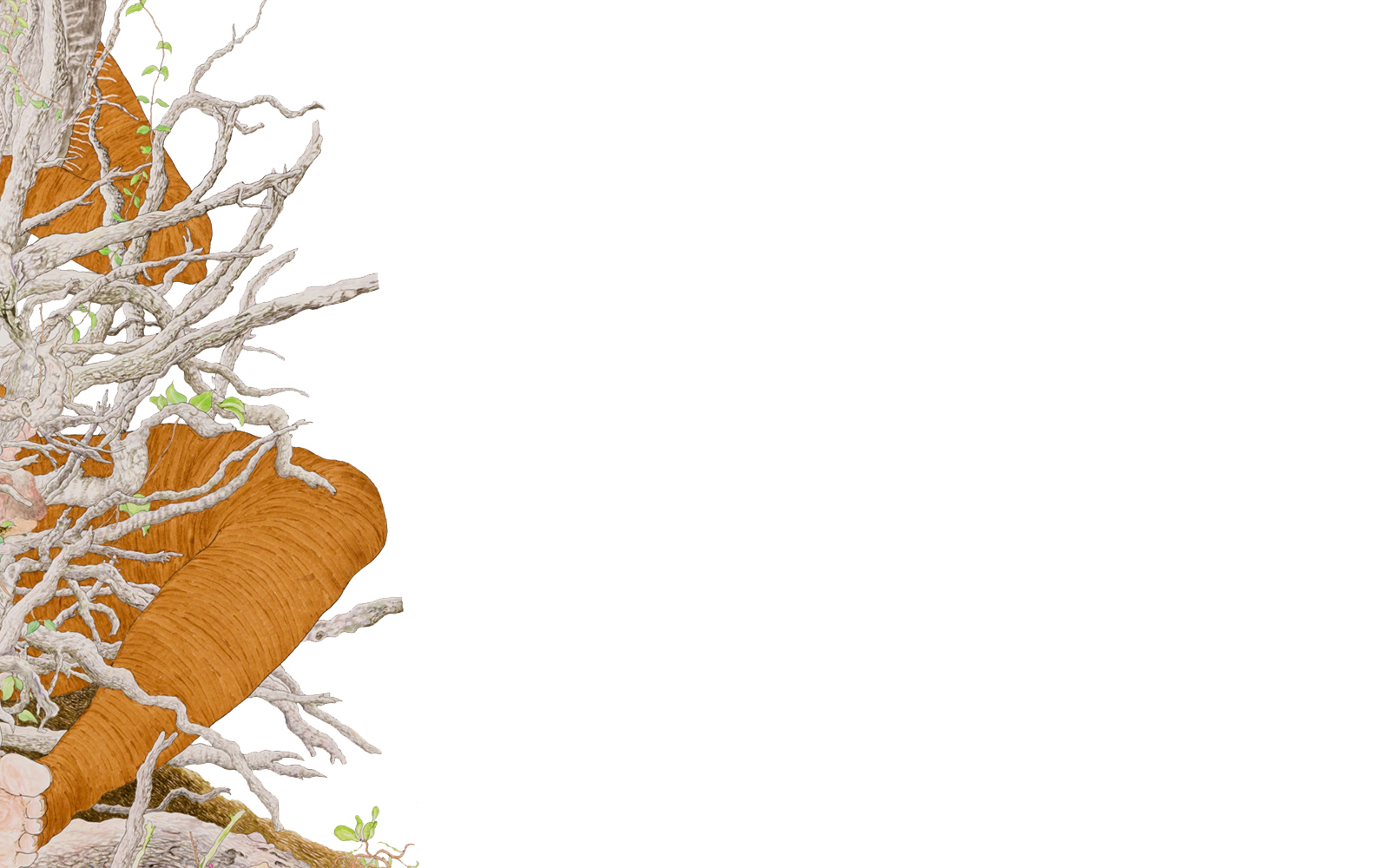 care-work-background